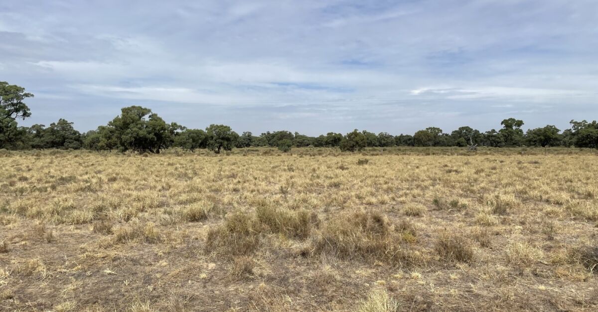 News – Conargo Wind Farm community newsletter - August 2025