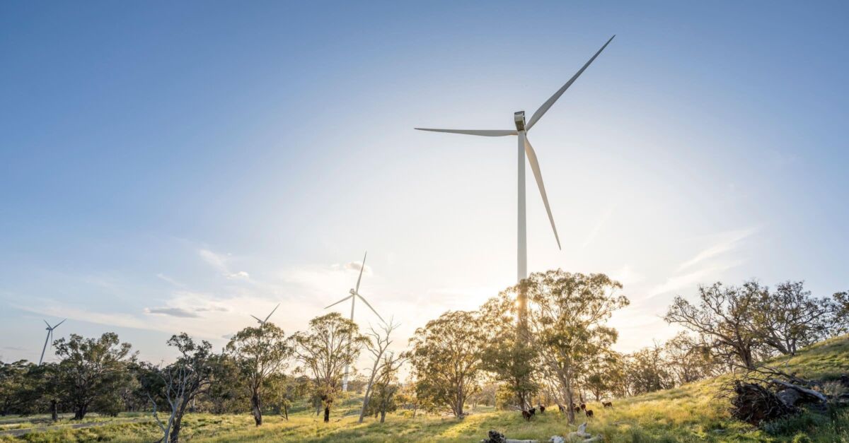 News – Mid Year Review