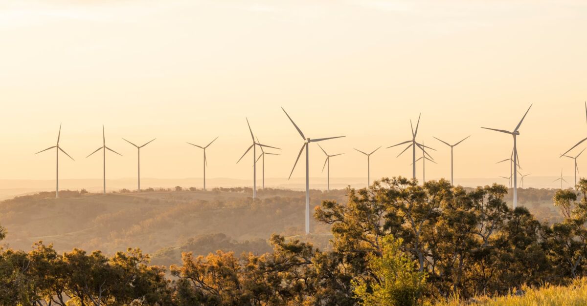 News – Winds of opportunity: Join the renewable workforce driving ...