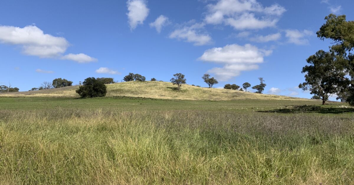 News – Spicers Creek Wind Farm becomes one of largest approved in NSW