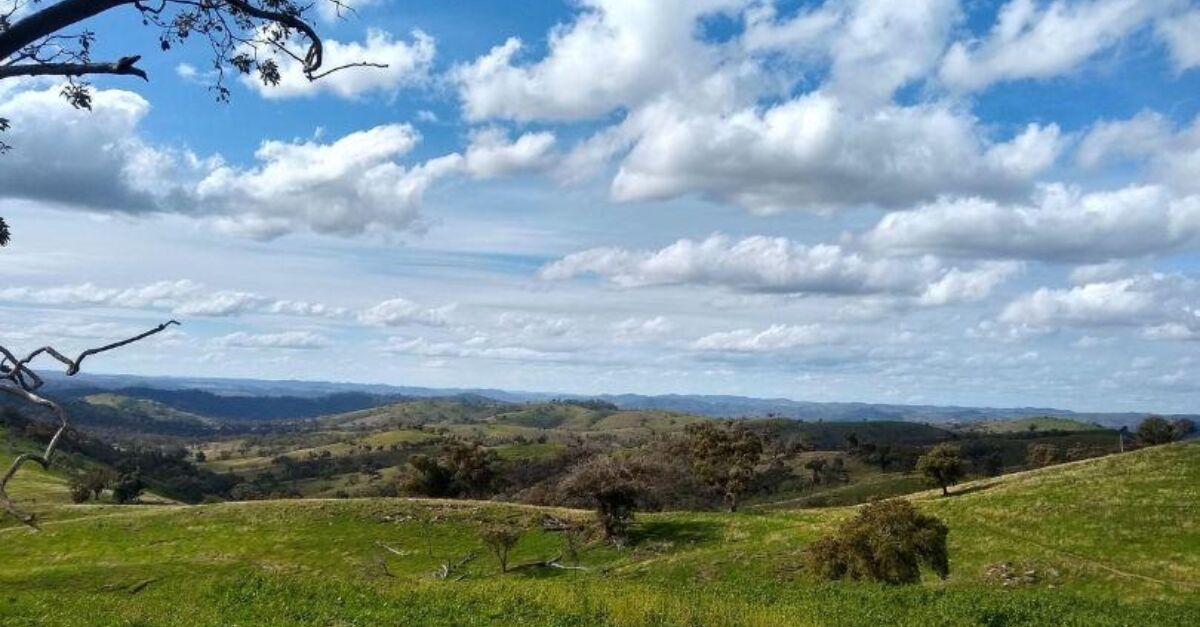 Uungula Wind Farm, NSW | Squadron Energy