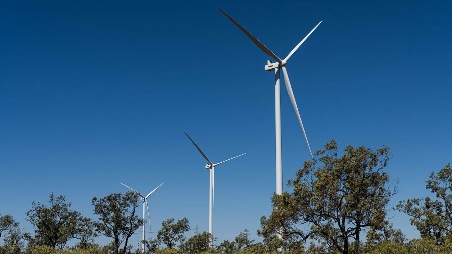 Latest News | Squadron Energy